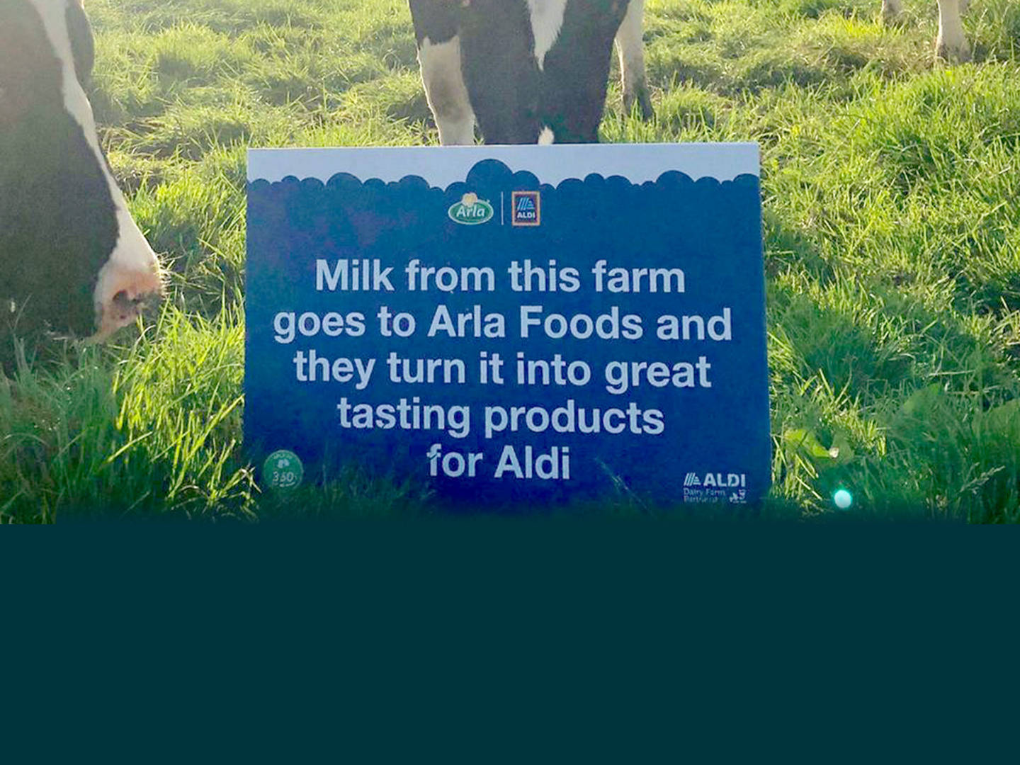 Dairy | ALDI UK