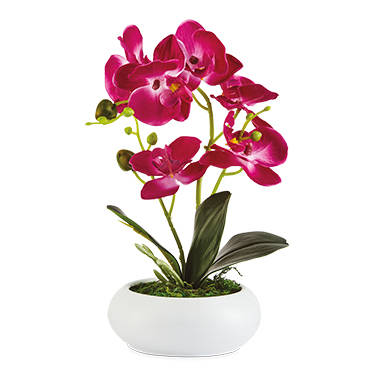 Lemon Meringue Cupcakes | ALDI IE