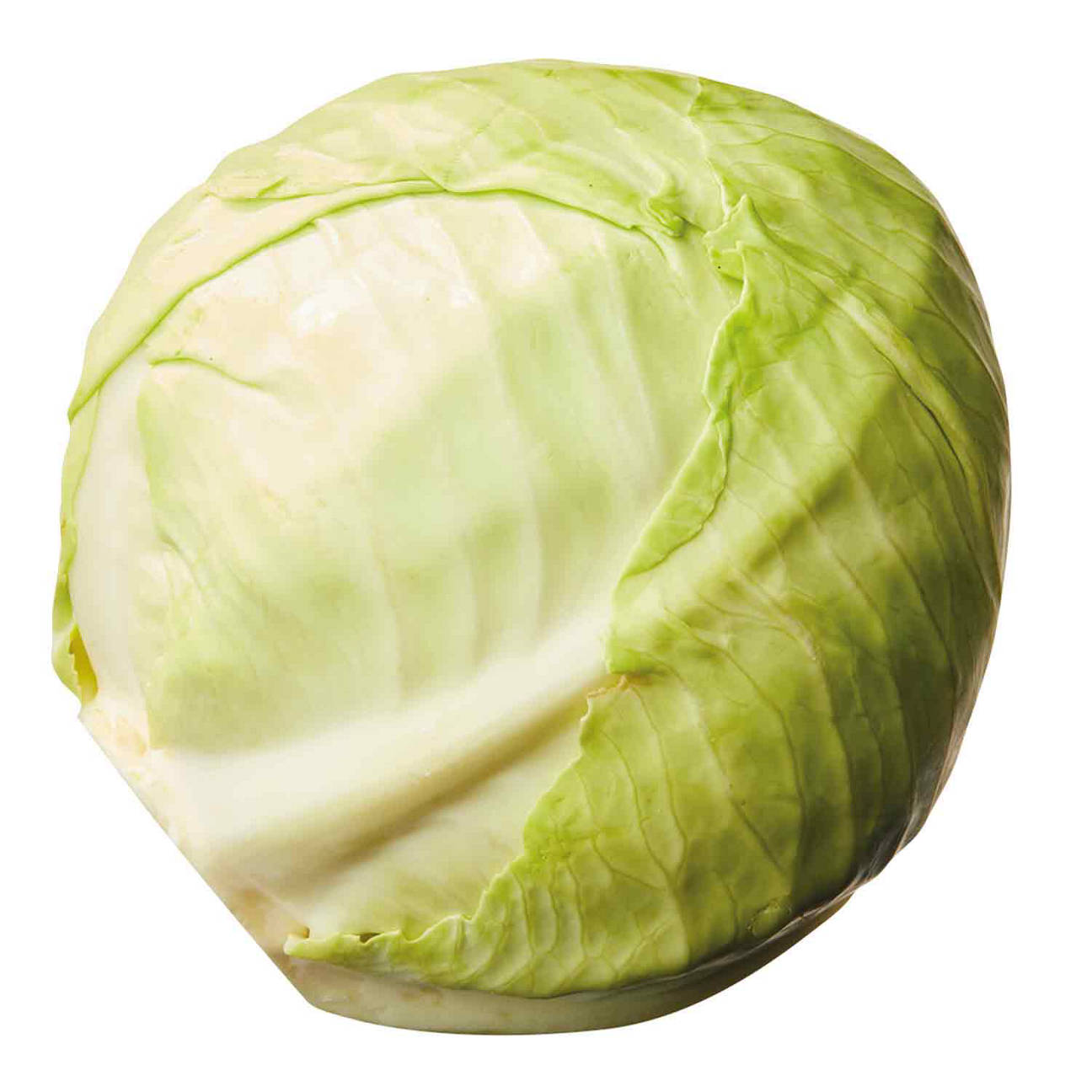White Cabbage | ALDI IE