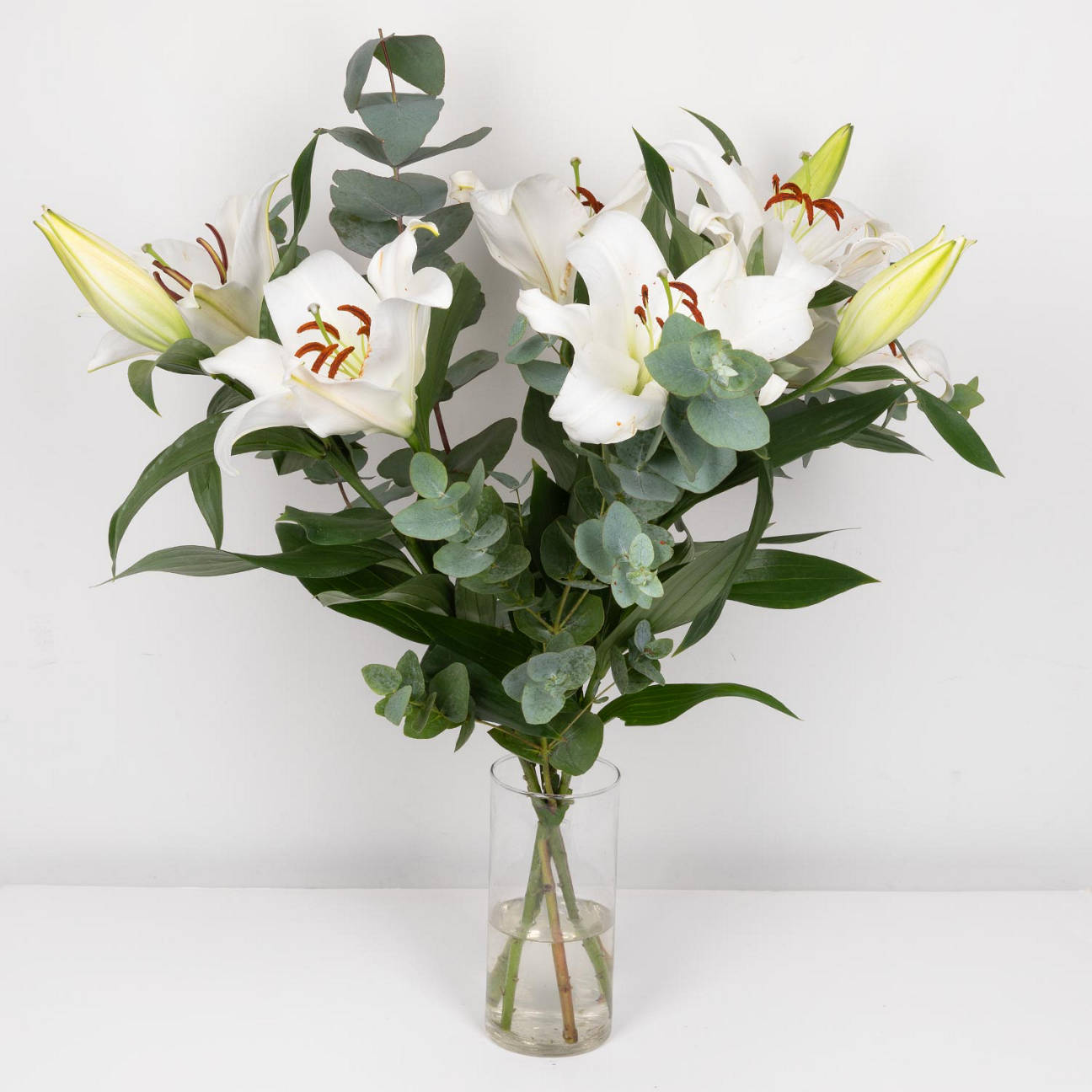 Premium Lilies | ALDI IE