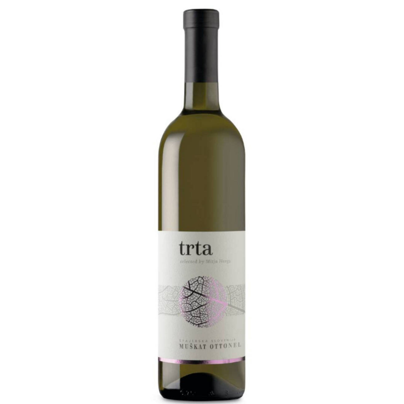 Trta Muškat ottonel