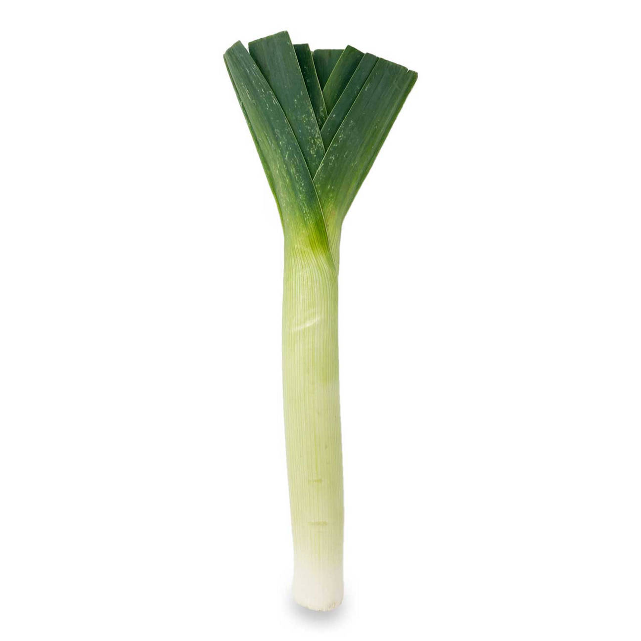 Leek | ALDI IE